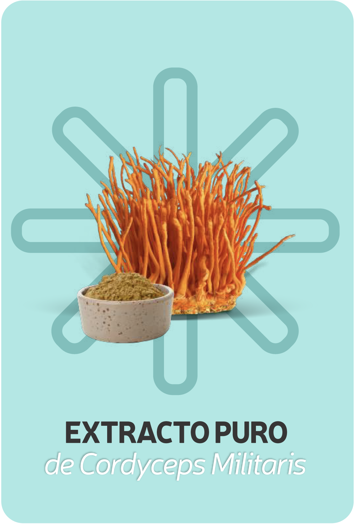 Productos | Goodway - Alimentos Funcionales